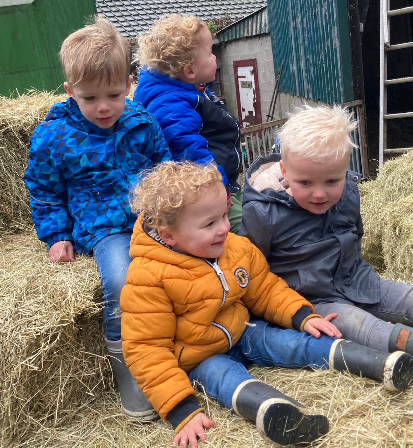 Boerderijopvang het Paarse Schaap heeft weer plek voor avontuurlijke ...